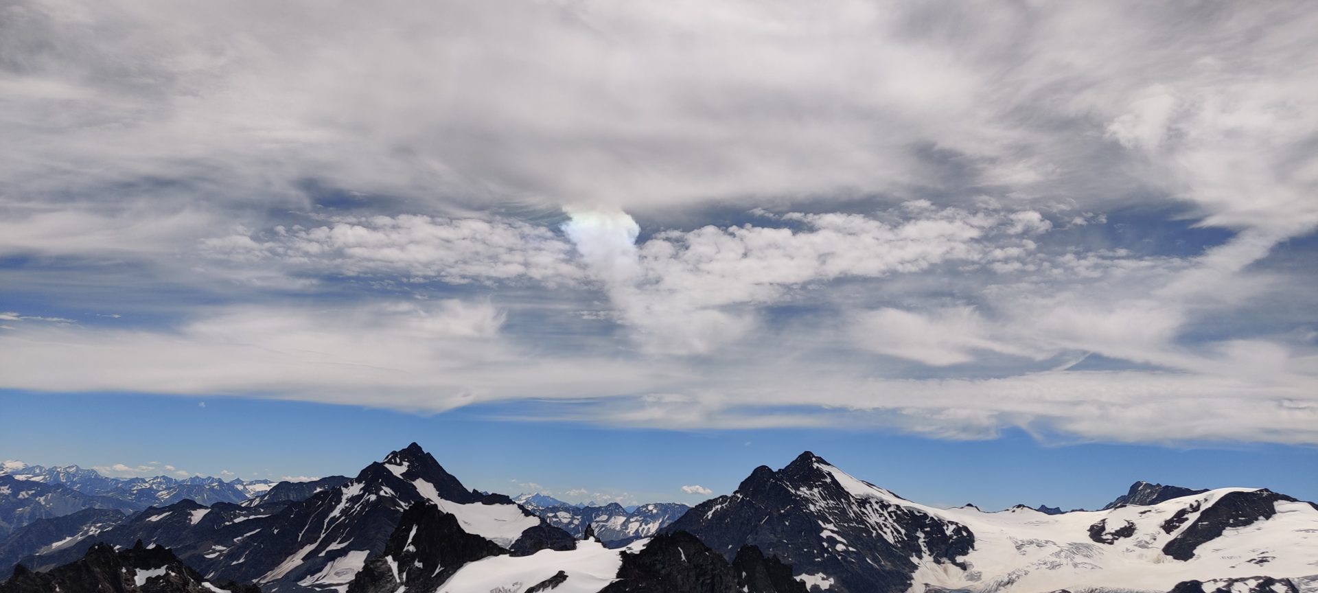 The end of the first half of the year - IMD MBA Blog