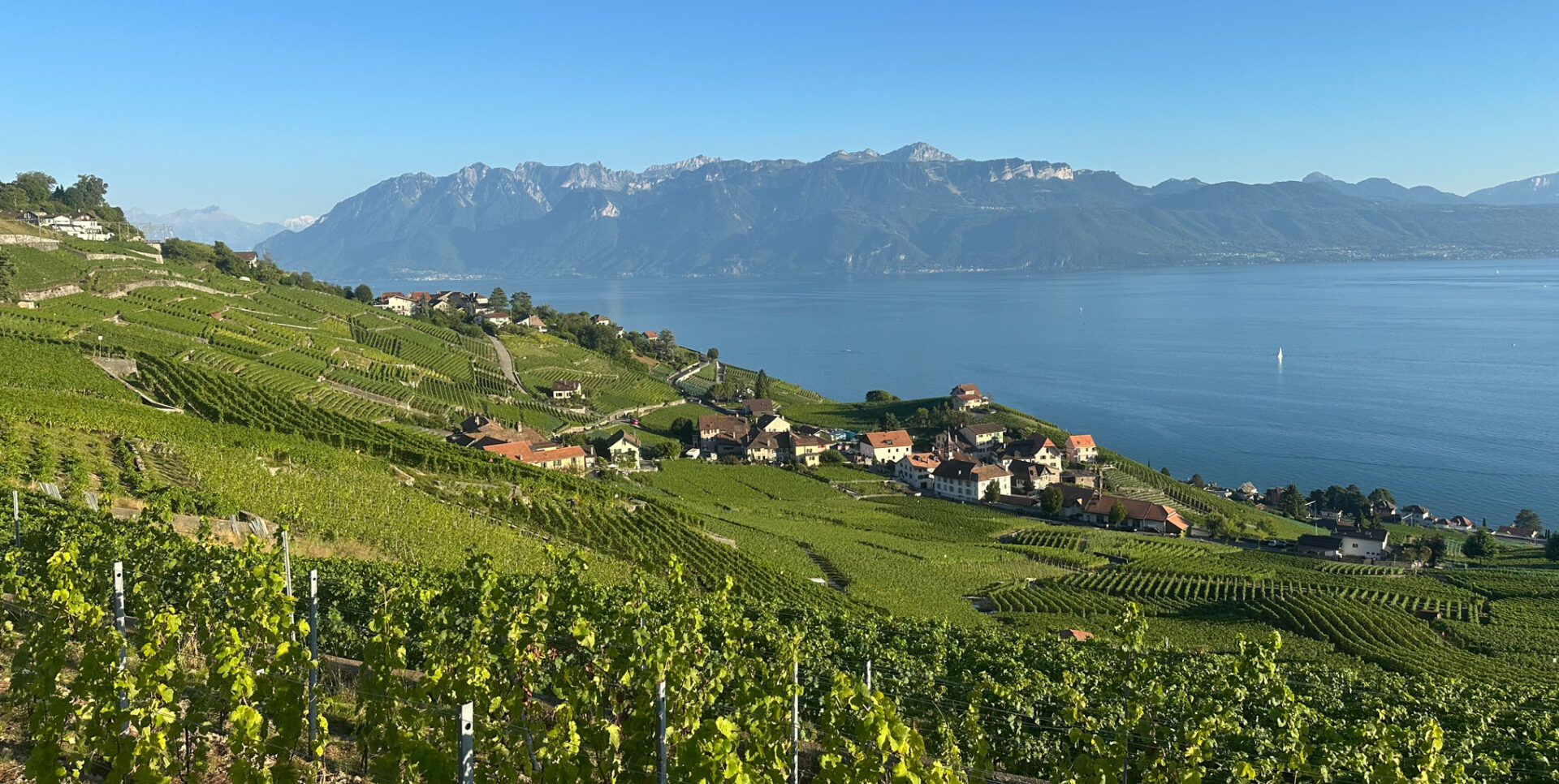 Gratitude, growth and the next chapter - IMD MBA Blog